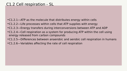 IB Biology C1.1-1.3 | Teaching Resources