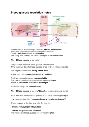 AQA blood glucose regulation tuition worksheet, GCSE 9-1 biology | Teaching Resources