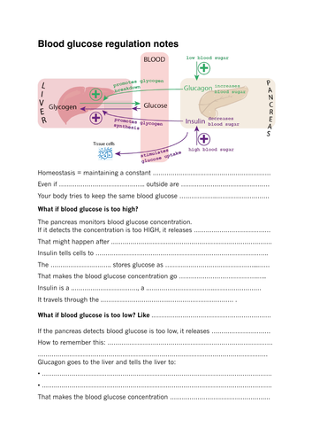 AQA blood glucose regulation tuition worksheet, GCSE 9-1 biology ...