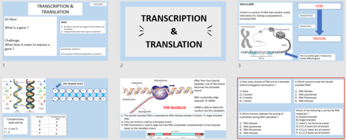 Transcription & Translation - A level Biology | Teaching Resources