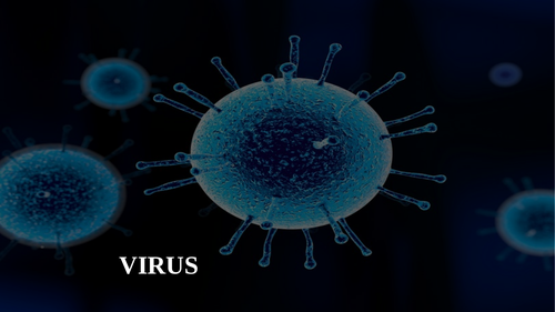 Bacteria, Fungi and Virus | Teaching Resources