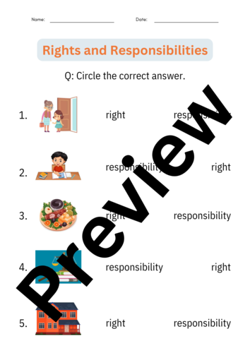 Rights and Responsibilities of Citizens Activities Worksheets for ...
