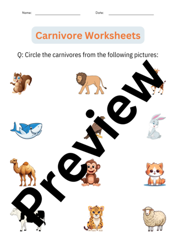 Printable Animal Classification - Carnivore Worksheets Activities for ...