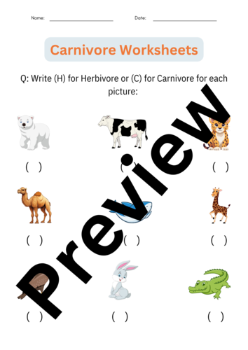 Printable Animal Classification - Carnivore Worksheets Activities for ...