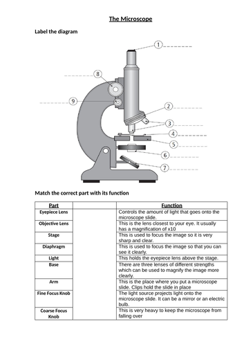 Light Microscopes | Teaching Resources
