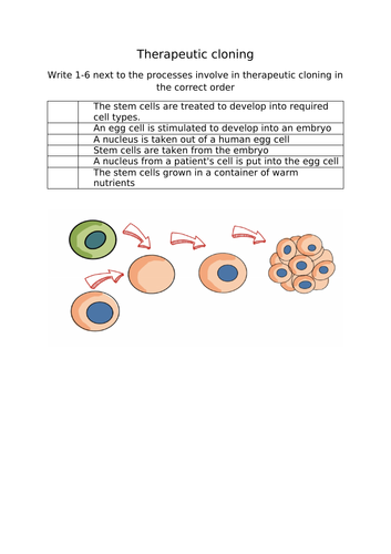 GCSE AQA B2 Cell Division Complete topic | Teaching Resources