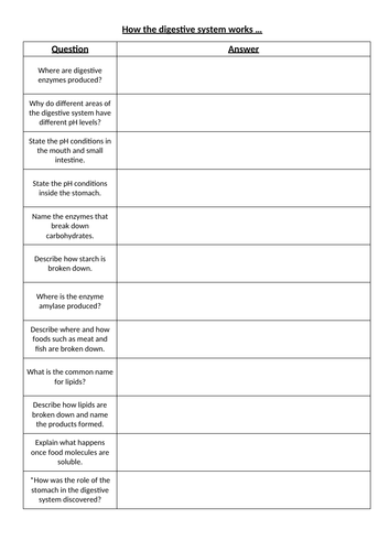 B3 Organisation and the Digestive system GCSE AQA | Teaching Resources