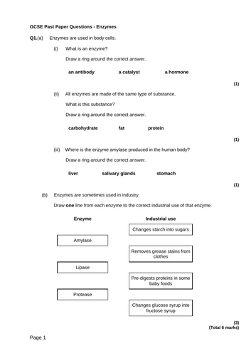 B3 Organisation and the Digestive system GCSE AQA | Teaching Resources