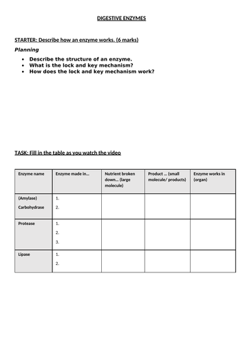B3 Organisation and the Digestive system GCSE AQA | Teaching Resources