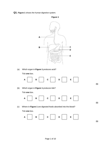B3 Organisation and the Digestive system GCSE AQA | Teaching Resources
