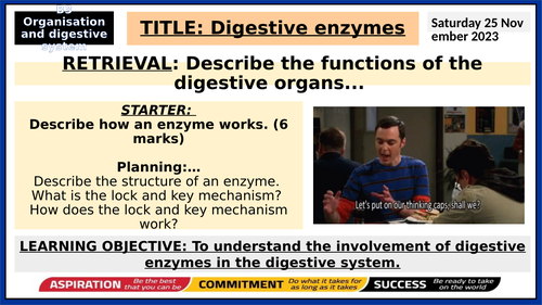 B3 Organisation and the Digestive system GCSE AQA | Teaching Resources
