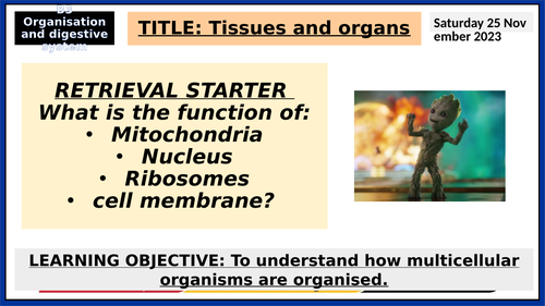 B3 Organisation and the Digestive system GCSE AQA | Teaching Resources
