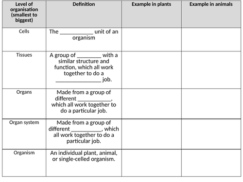 B3 Organisation and the Digestive system GCSE AQA | Teaching Resources