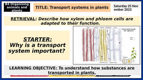 B4 Organising Animal and Plants AQA GCSE | Teaching Resources