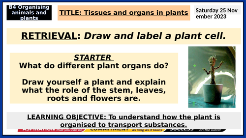 B4 Organising Animal and Plants AQA GCSE | Teaching Resources