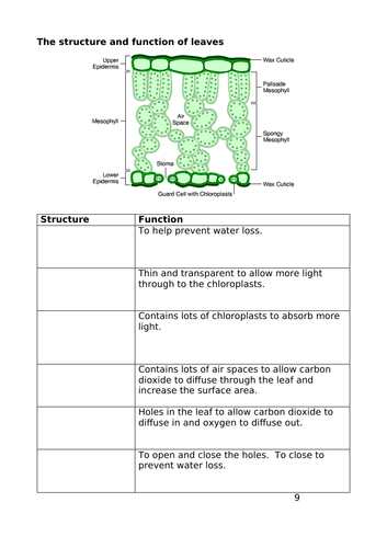 B4 Organising Animal and Plants AQA GCSE | Teaching Resources