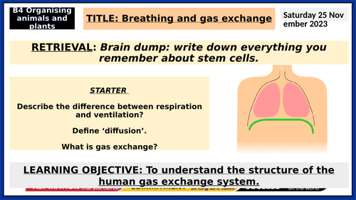 B4 Organising Animal and Plants AQA GCSE | Teaching Resources