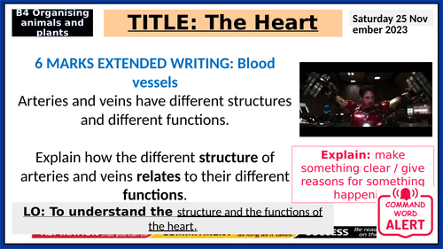 B4 Organising Animal and Plants AQA GCSE | Teaching Resources