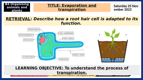 B4 Organising Animal and Plants AQA GCSE | Teaching Resources