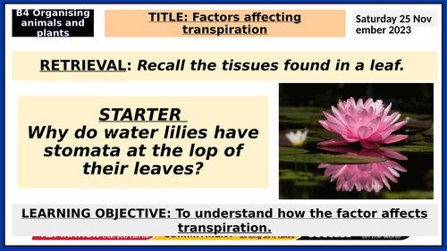 B4 Organising Animal and Plants AQA GCSE | Teaching Resources