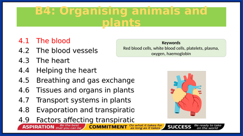B4 Organising Animal and Plants AQA GCSE | Teaching Resources