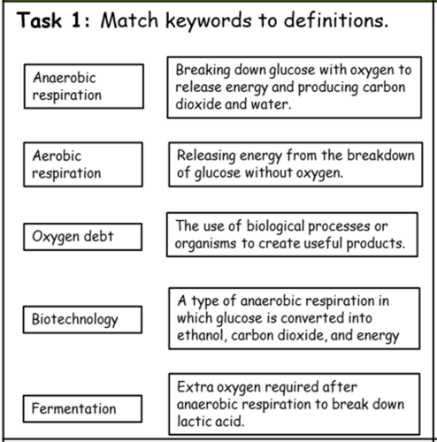 Respiration assessment | Teaching Resources