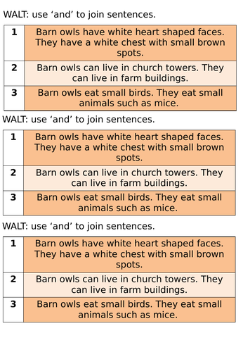 Owl Babies Planning - Year 1 | Teaching Resources