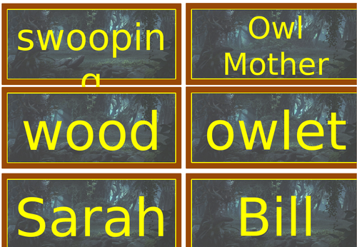 Owl Babies Planning - Year 1 | Teaching Resources