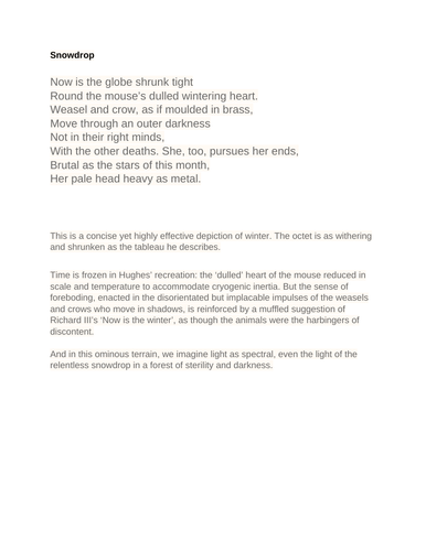 GCSE English Literature A* poetry anthology "Snowdrop" TED HUGHES ...