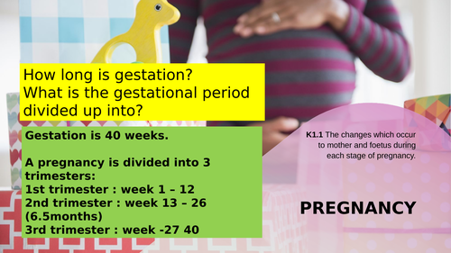 T Level Health with midwifery Normal Pregnancy Lessons 1-2 | Teaching ...