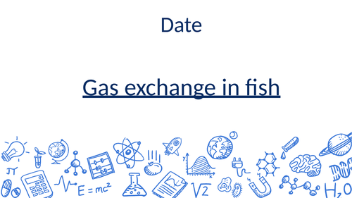6.3 - Gas exchange in fish - AQA A-Level Biology | Teaching Resources