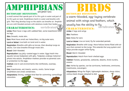 Animal Classification Sorting Research | Teaching Resources