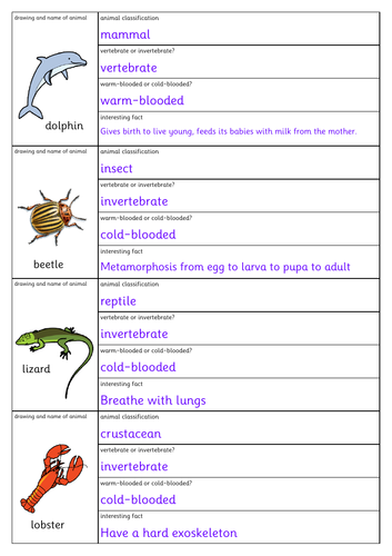 Animal Classification Sorting Research | Teaching Resources