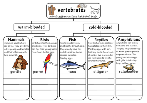 Animal Classification Sorting Research | Teaching Resources