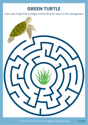Green Turtle Maze | Teaching Resources