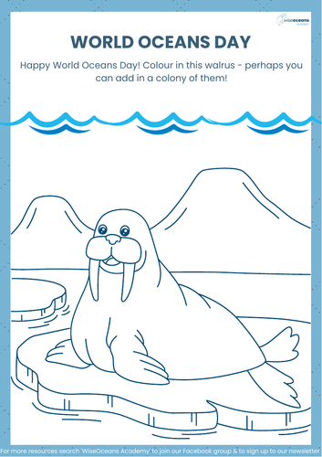 World Ocean Day Worksheet | Teaching Resources