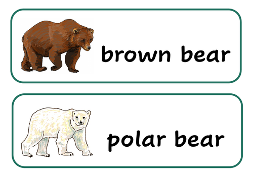 The Very Hungry Bear - KS1 English unit of work | Teaching Resources