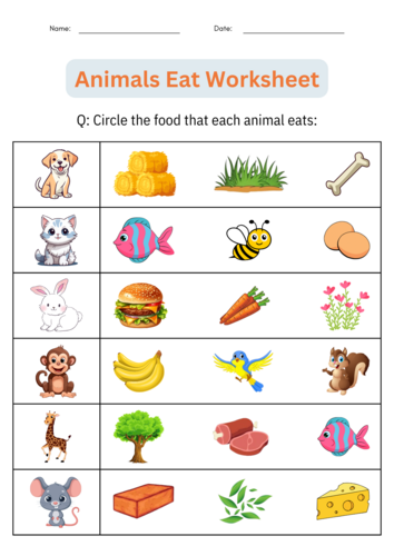 What Do Animals Eat? - Matching Animals and Their Food Worksheets for ...