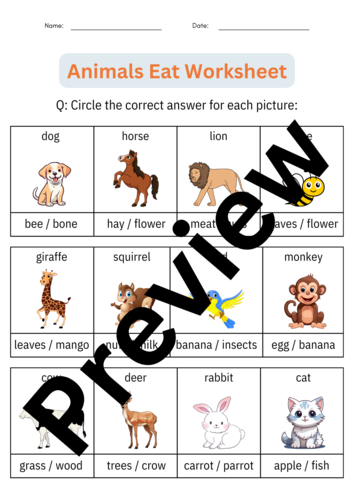 What Do Animals Eat? - Matching Animals and Their Food Worksheets for ...