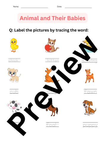 Printable Matching Animals and Their Babies Worksheets for Grade 1, 2 ...