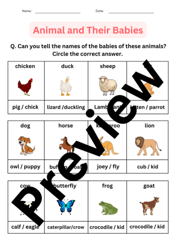 Printable Matching Animals and Their Babies Worksheets for Grade 1, 2 ...