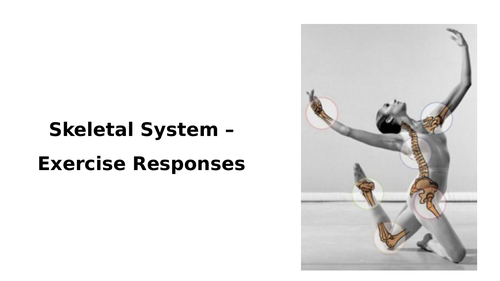 BTEC Level 3 Sport A&P Unit 1 full unit | Teaching Resources