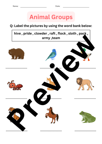 Printable Matching Animal Groups Worksheet for Grade 1, 2, 3 | Teaching ...