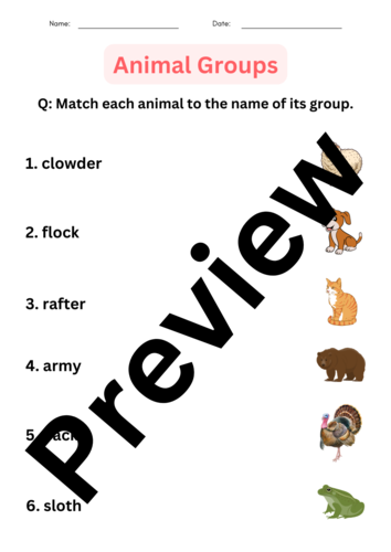 Printable Matching Animal Groups Worksheet for Grade 1, 2, 3 | Teaching ...