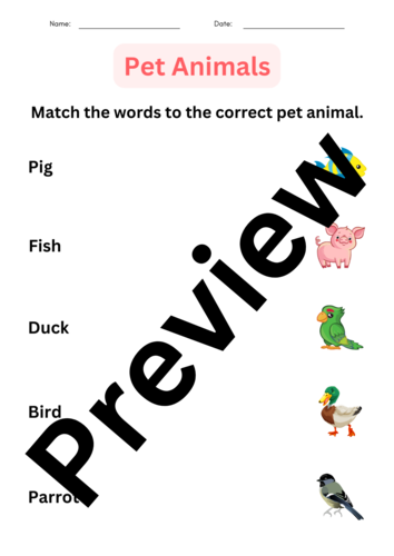 Printable Identifying and Mmatching Pet Animals Worksheet for Grade 1 ...