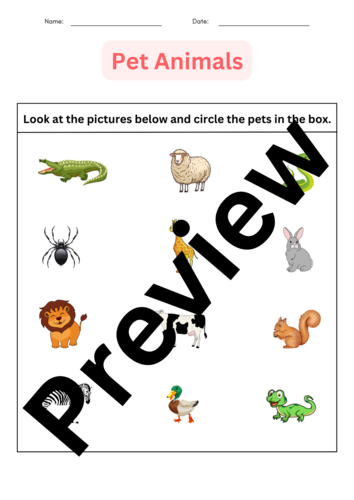 Printable Identifying and Mmatching Pet Animals Worksheet for Grade 1 ...