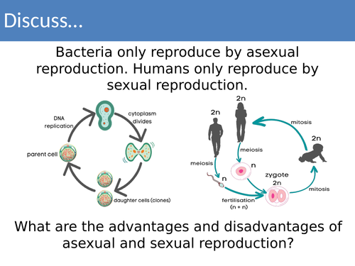 IGCSE Biology: Reproduction in plants and humans | Teaching Resources