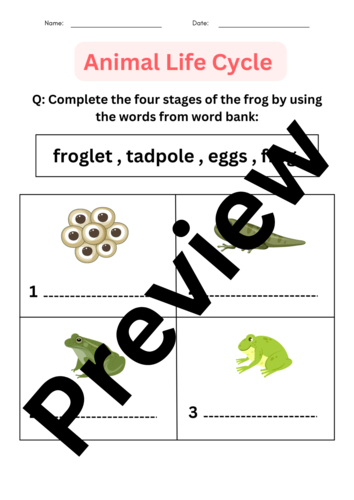 Interactive Worksheet - 4th Grade Animal Life Cycle Worksheets ...