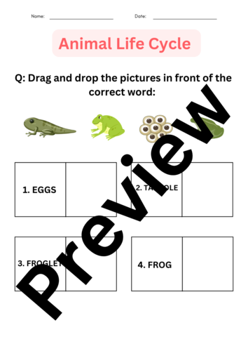 Interactive Worksheet - 4th Grade Animal Life Cycle Worksheets ...