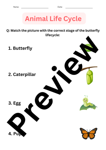 Interactive Worksheet - 4th Grade Animal Life Cycle Worksheets ...